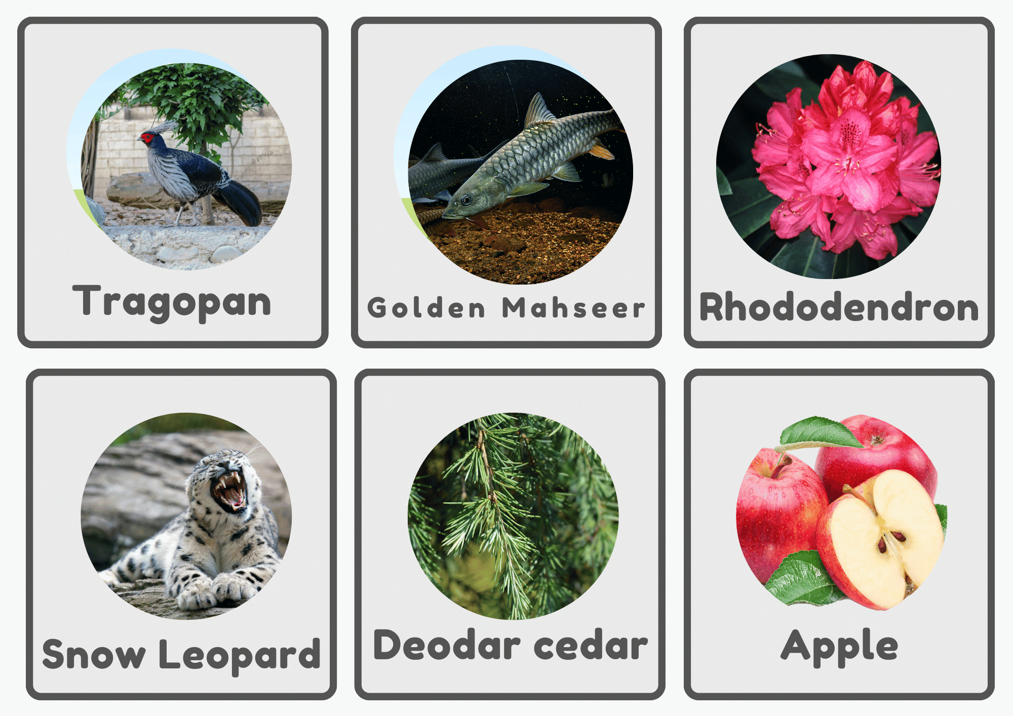 Top 100 HP GK Questions In English For Competitive Exams